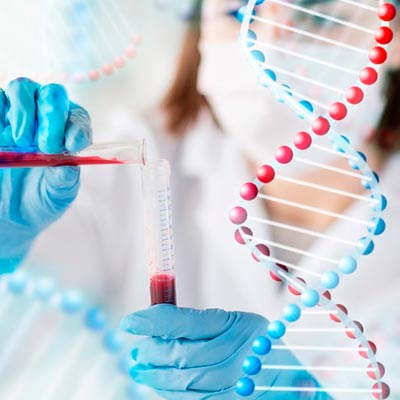 IVD - Zamco Medical Tech Private Limited