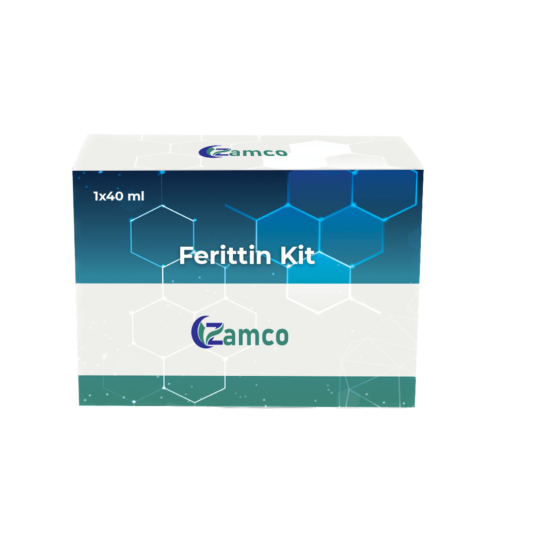 Best choice for Healthcare Products - Zamco Medical Tech